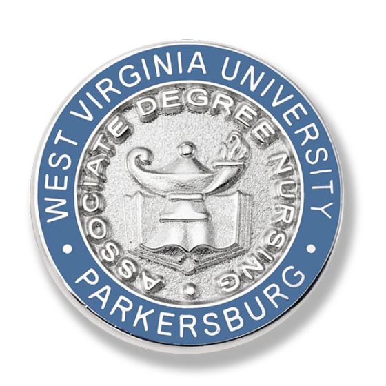 Silver A.D.N. Nursing Pins