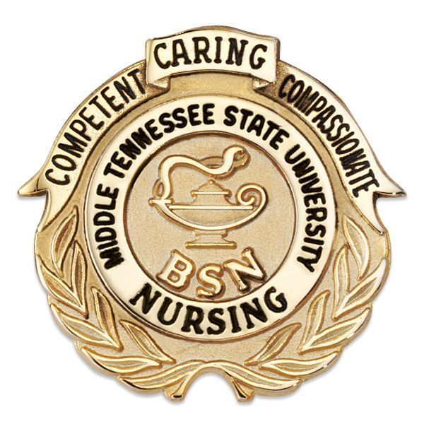 Gold Filled BSN Nursing Pin